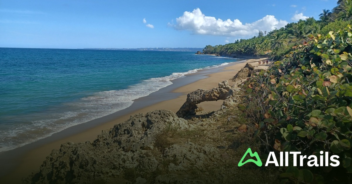 Playa María : les meilleures randonnées | AllTrails