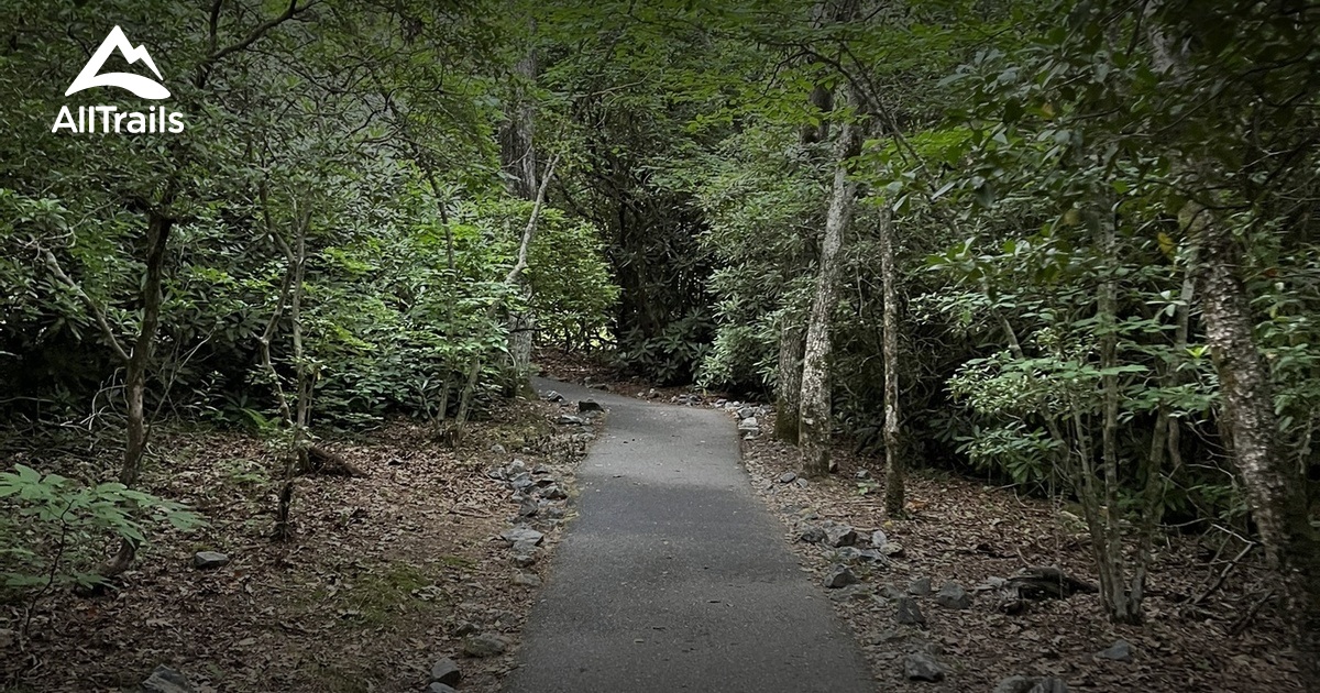Brasstown Bald - hikes and trails to get you there | AllTrails