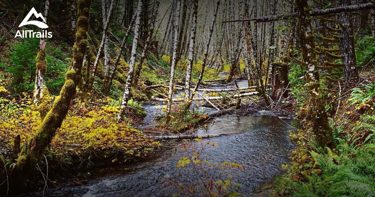 University Falls - hikes and trails to get you there | AllTrails