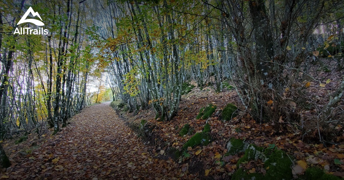 Monte Cetona - hikes and trails to get you there | AllTrails