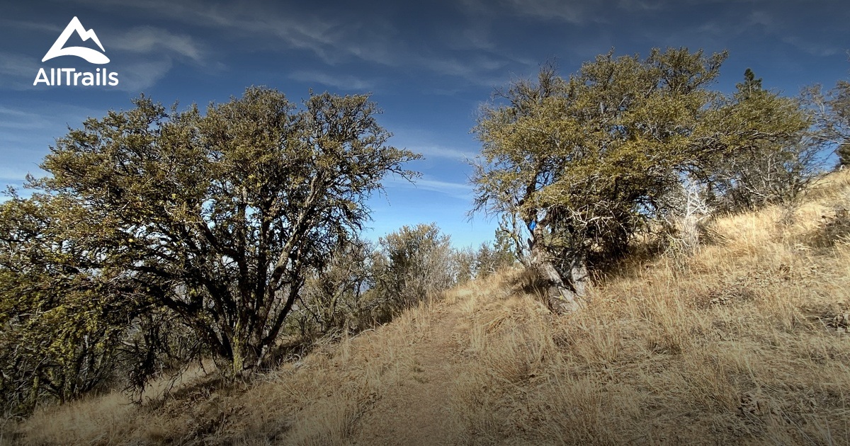 Hager Mountain - hikes and trails to get you there | AllTrails