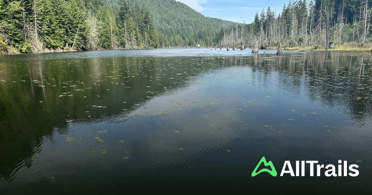 Buntzen Lake - hikes and trails to get you there | AllTrails