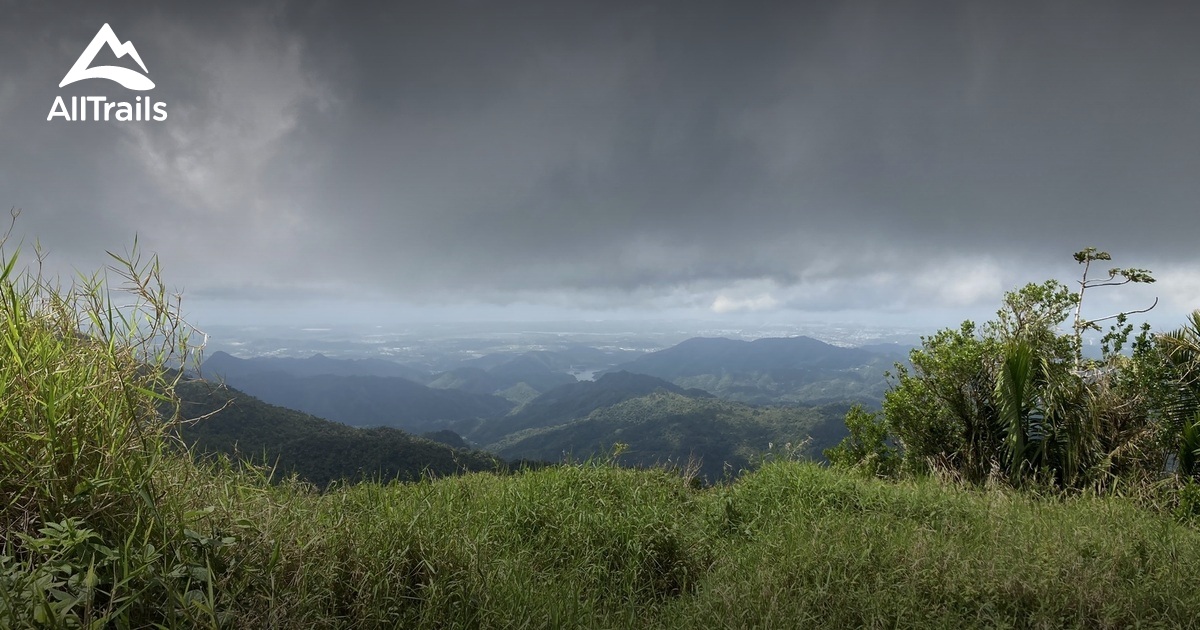 Cerro de Punta - hikes and trails to get you there | AllTrails