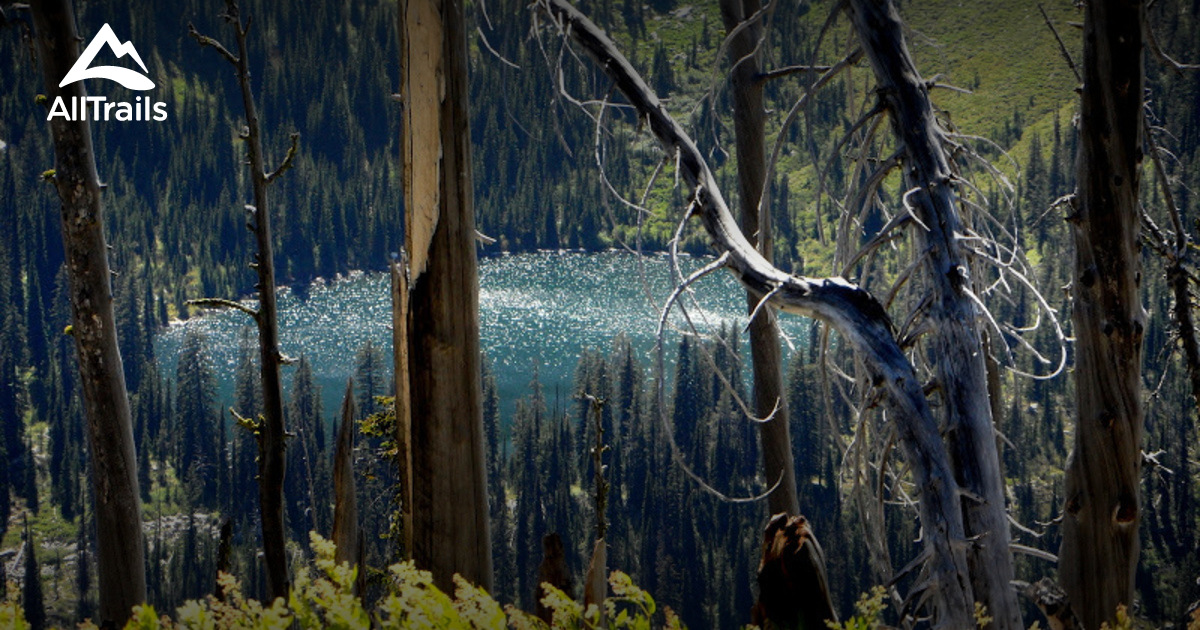 2023 Best Trails near Sponge Mountain | AllTrails