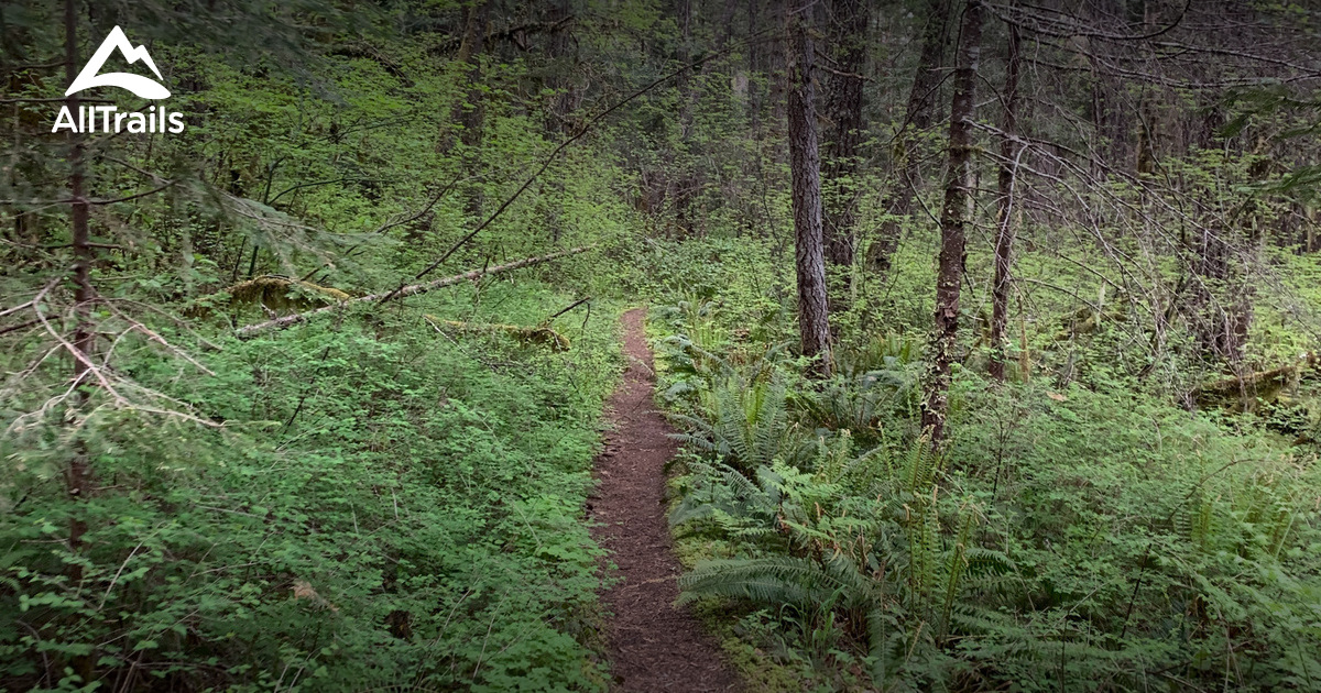 Shadow Falls - hikes and trails to get you there | AllTrails