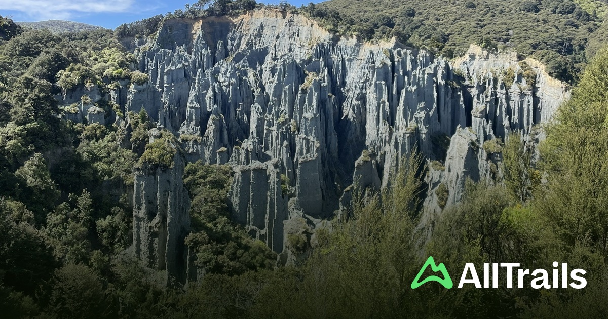 Pūtangirua Pinnacles - hikes and trails to get you there | AllTrails