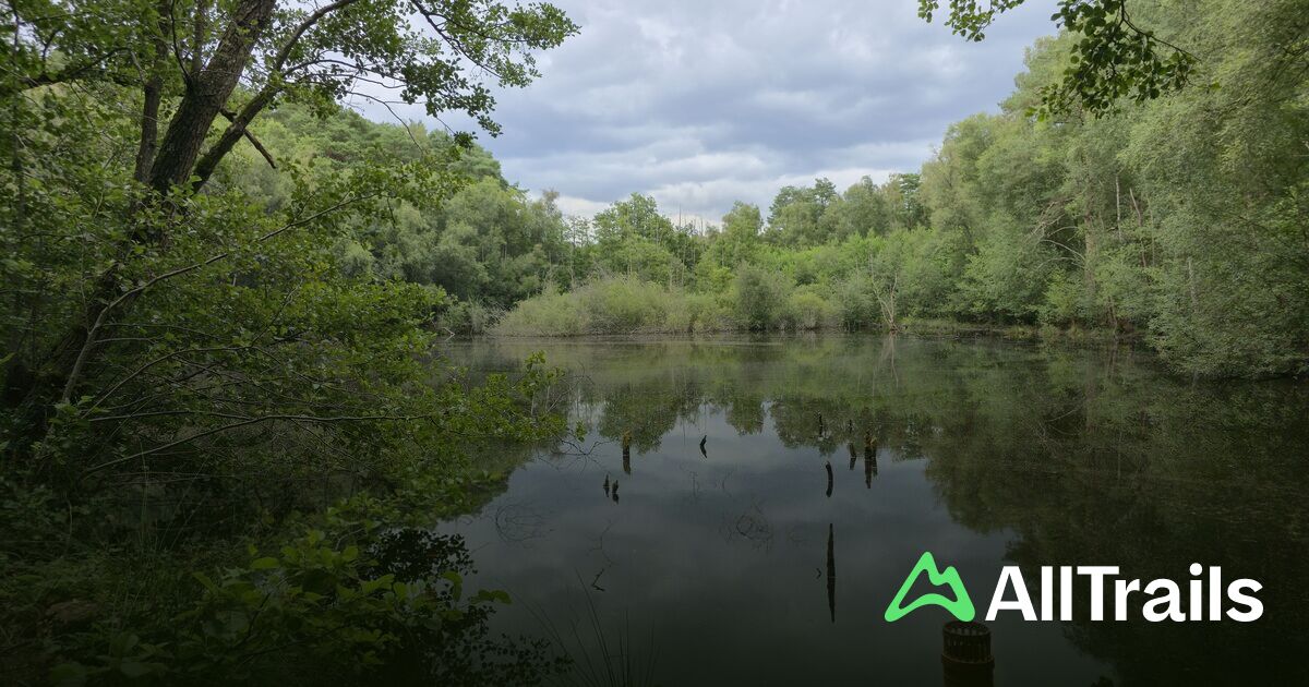 Seale chalk pit nature reserve - hikes and trails to get you there ...