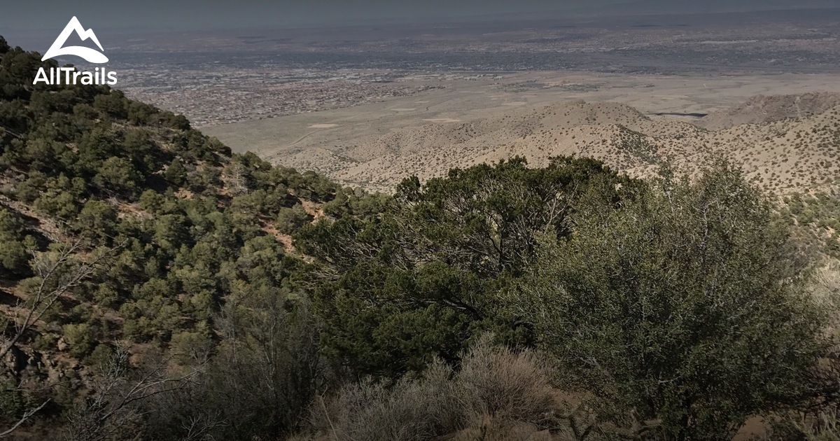 Sandia Crest - hikes and trails to get you there | AllTrails