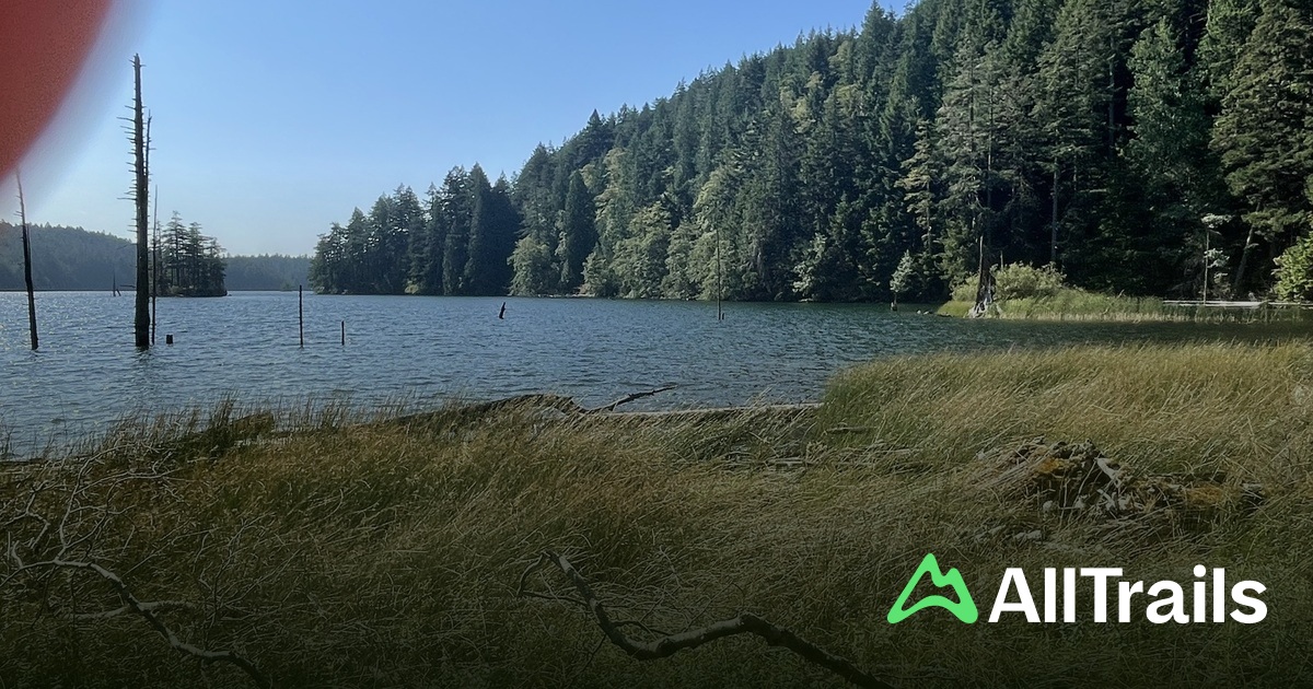 Mountain Lake Dam - hikes and trails to get you there | AllTrails