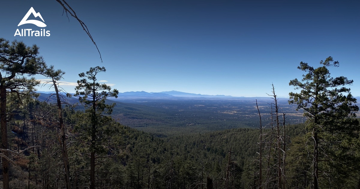 Gallinas Mountains - hikes and trails to get you there | AllTrails