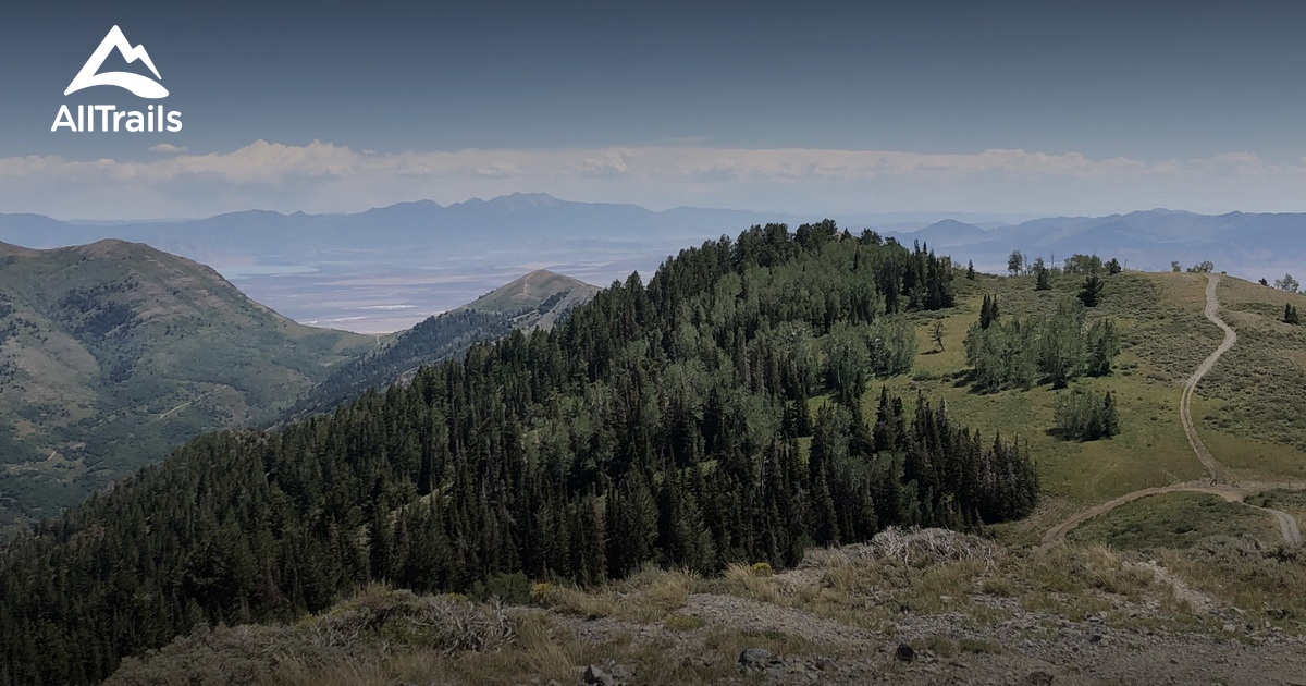 Bald Mountain (East) - hikes and trails to get you there | AllTrails