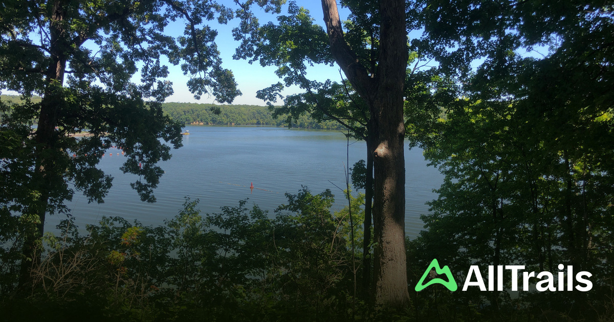Lake Lou Yaeger - hikes and trails to get you there | AllTrails
