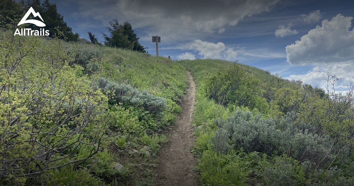 Round Mountain - hikes and trails to get you there | AllTrails