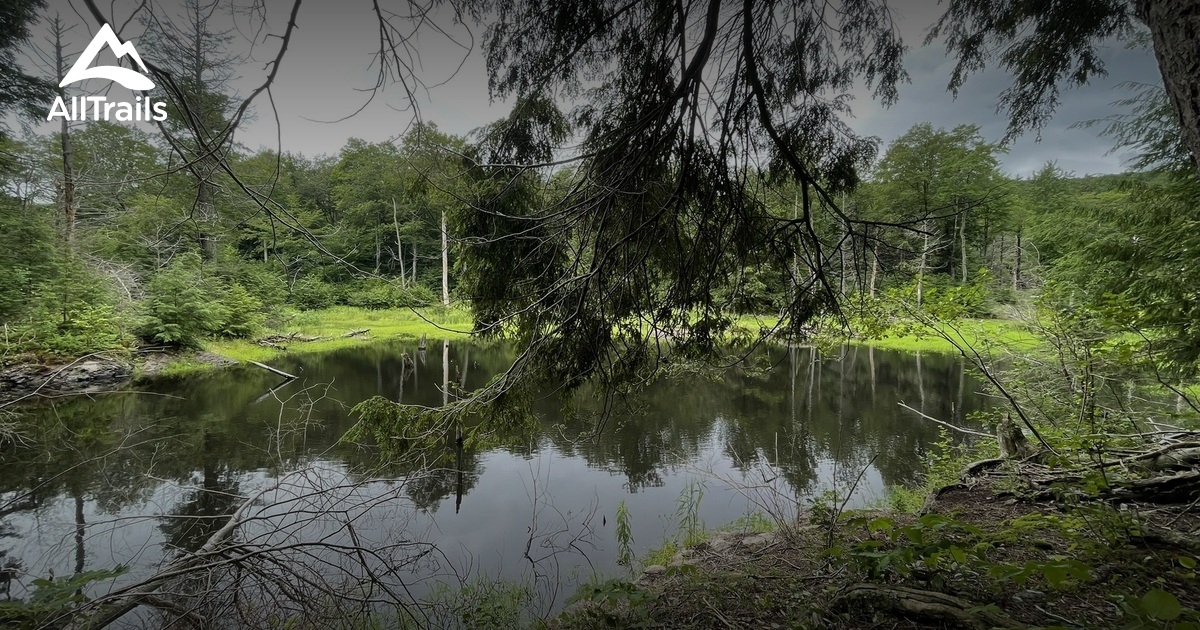 Snake Mountain - hikes and trails to get you there | AllTrails