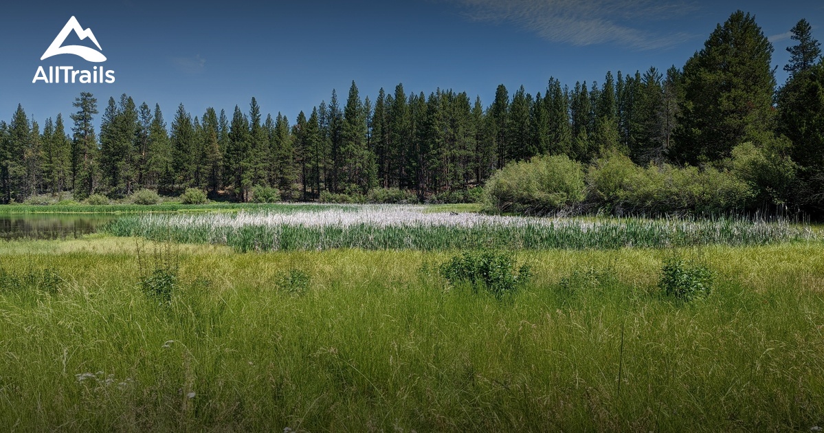 Dillon Falls - hikes and trails to get you there | AllTrails