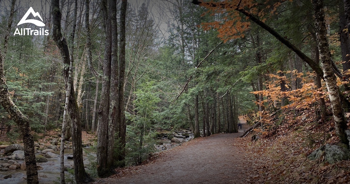 Sabbaday Falls - hikes and trails to get you there | AllTrails