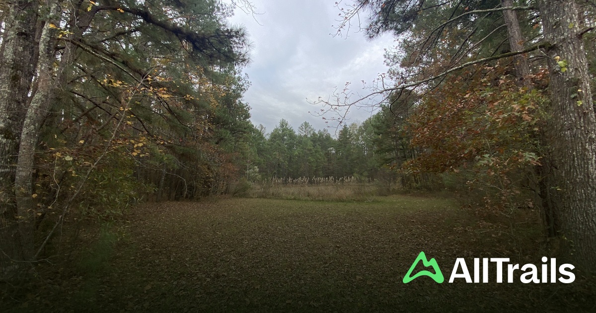 Bodcau Bayou - hikes and trails to get you there | AllTrails