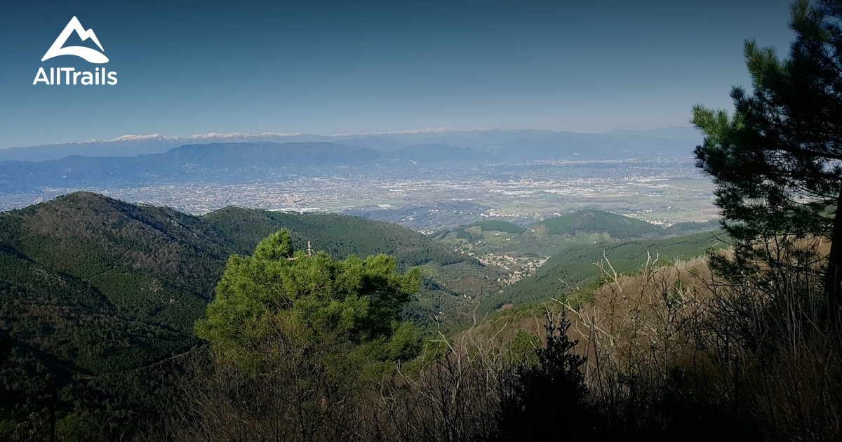 2023: Beste Routen in der Umgebung von Monte Serra | AllTrails