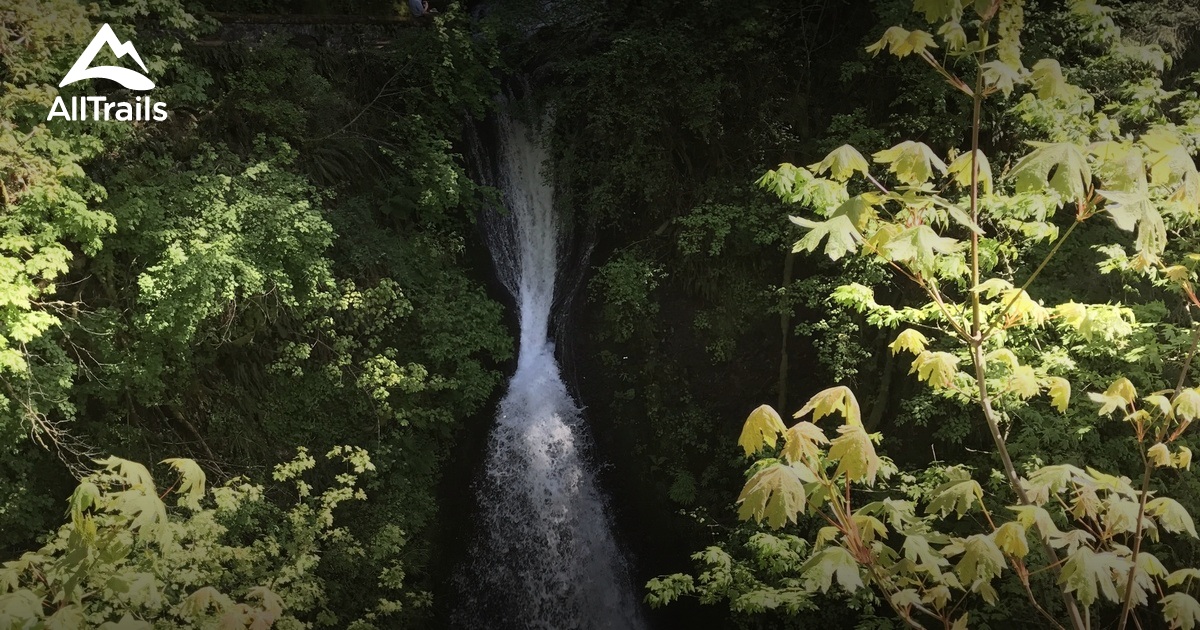 Shepperd's Dell Falls - hikes and trails to get you there | AllTrails