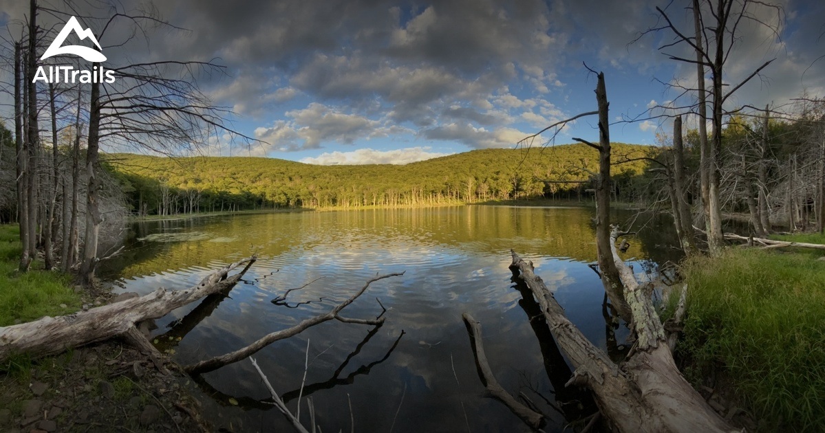 Plattekill Mountain: Die besten Routen in der Umgebung | AllTrails