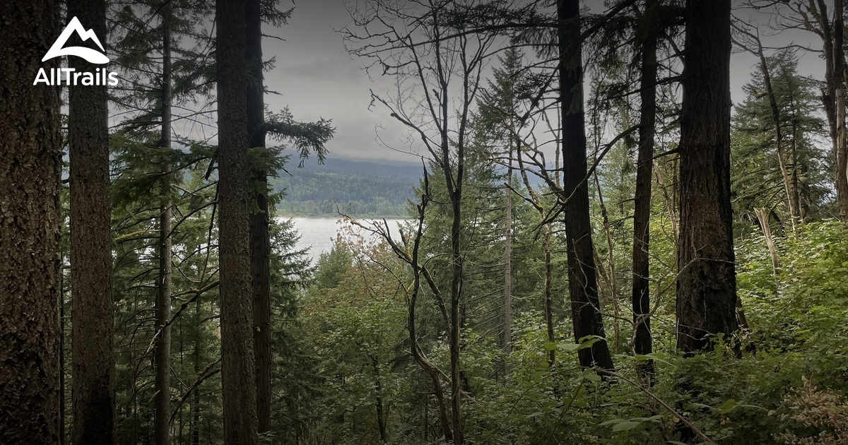 Oneonta Falls - hikes and trails to get you there | AllTrails