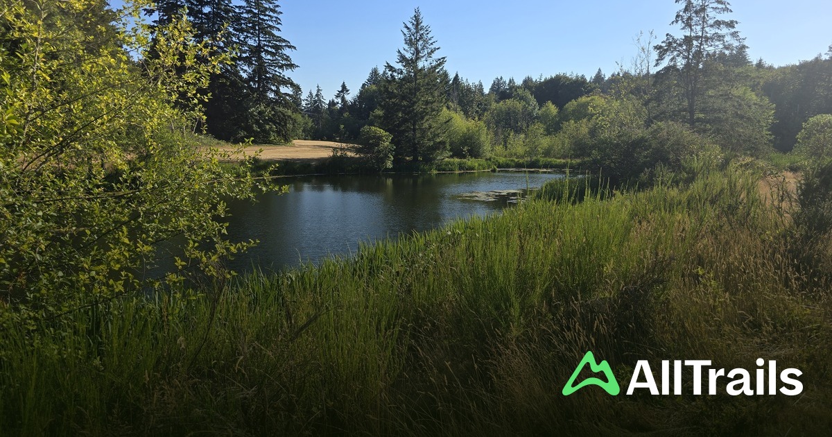 Chico Bay - hikes and trails to get you there | AllTrails