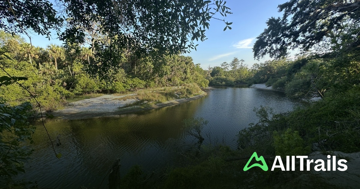 Boonie Falls - hikes and trails to get you there | AllTrails
