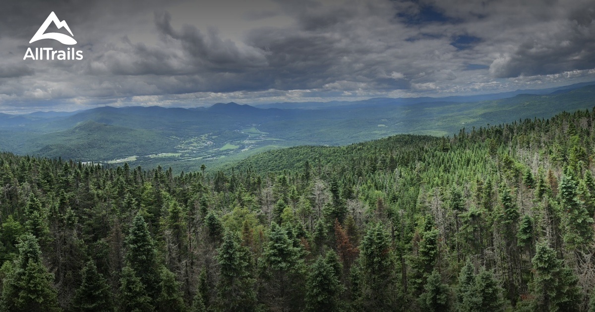 Monadnock Mountain : les meilleures randonnées | AllTrails