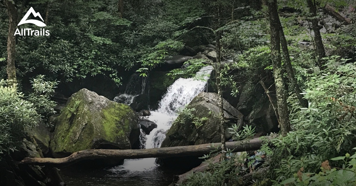 Grotto Falls - hikes and trails to get you there | AllTrails