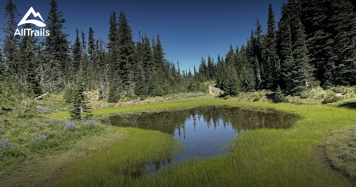 Middle Heather Canyon Falls - hikes and trails to get you there | AllTrails