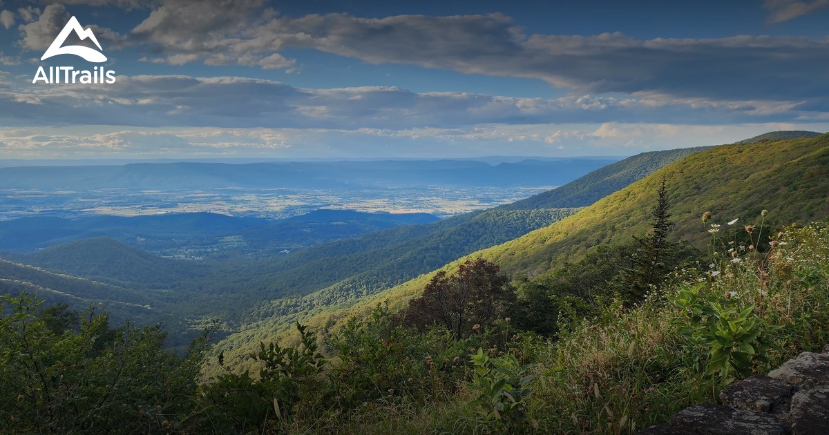 Cedar Run Falls - hikes and trails to get you there | AllTrails