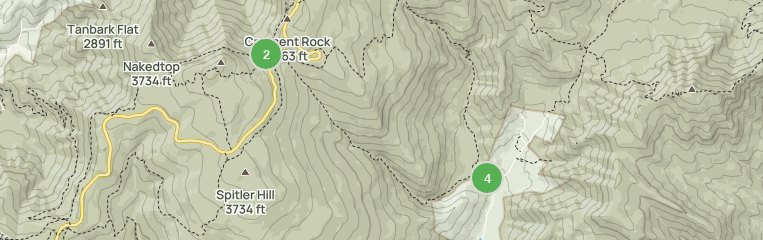 Best Trails near Cedar Run Falls | AllTrails