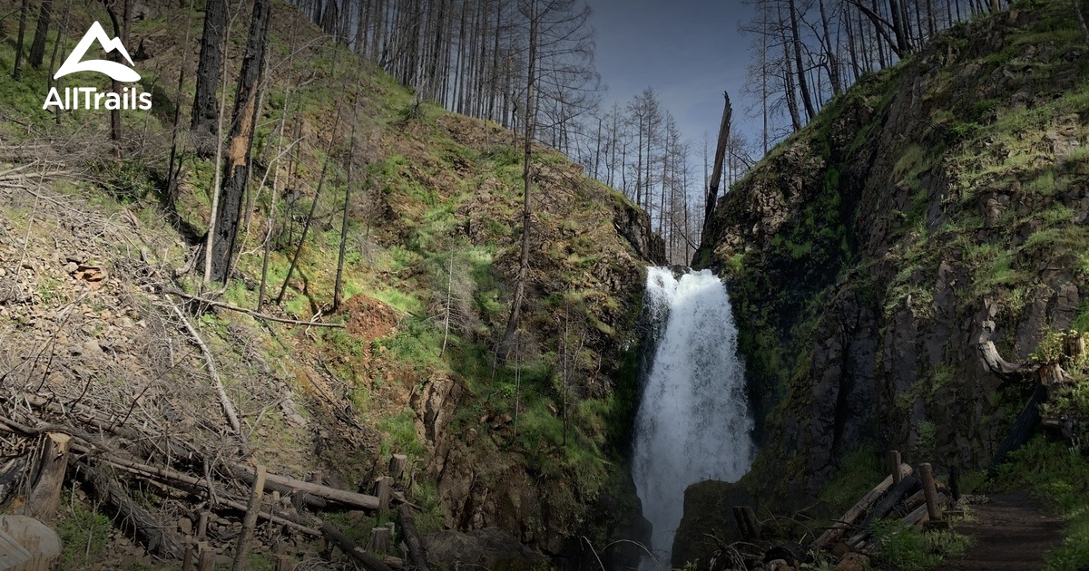 Susan Creek Falls - hikes and trails to get you there | AllTrails