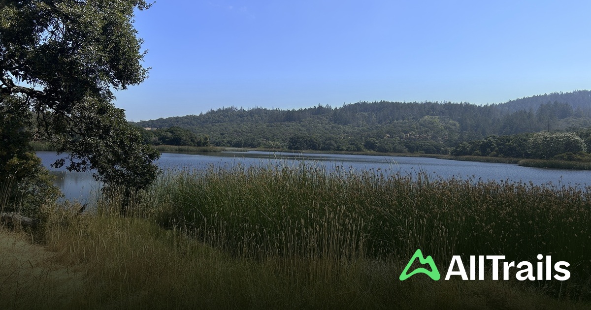 I migliori sentieri vicino a Hunter Spring | AllTrails