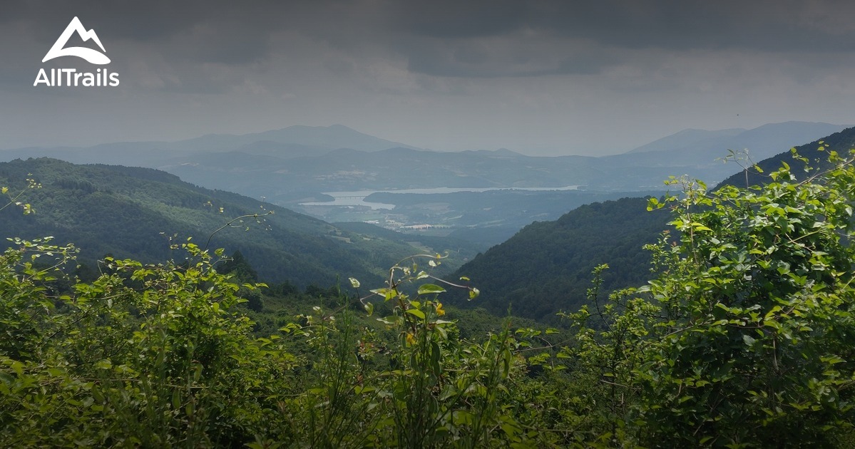 Monte Petti - hikes and trails to get you there | AllTrails
