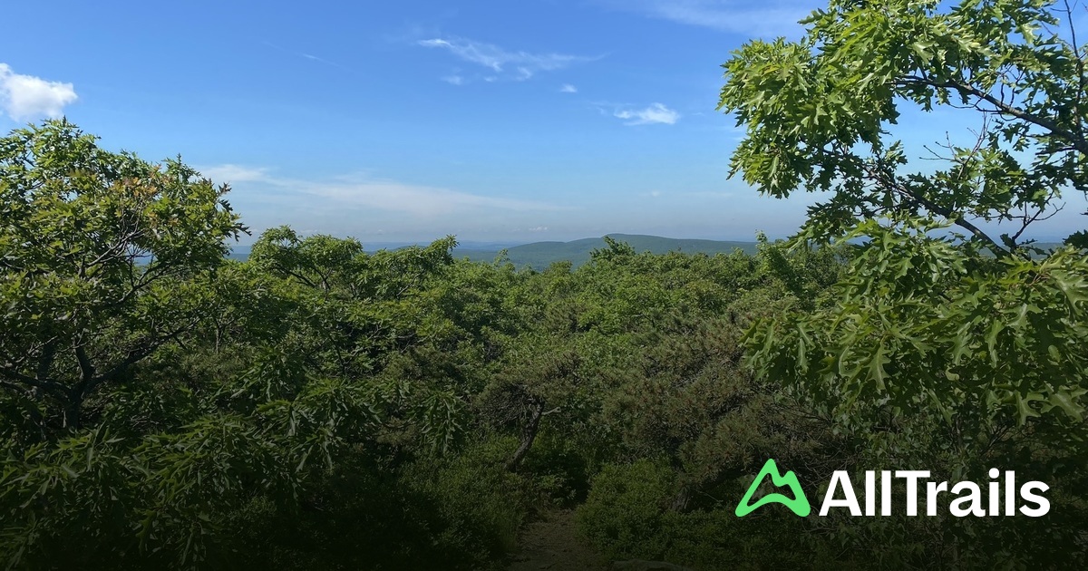 Guilder Pond - hikes and trails to get you there | AllTrails