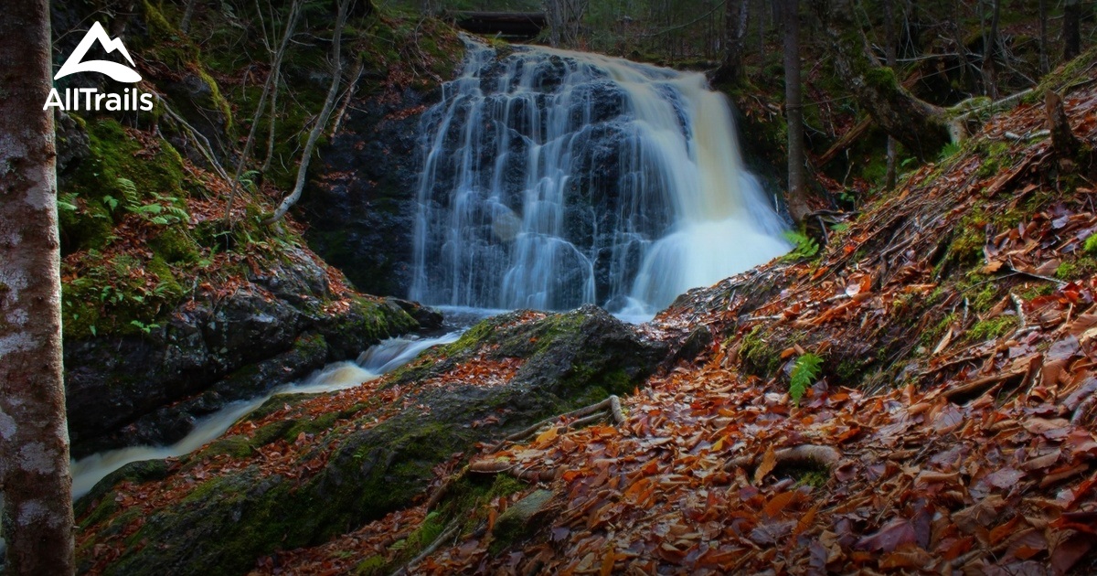 Devil's Hill Waterfall II - hikes and trails to get you there | AllTrails