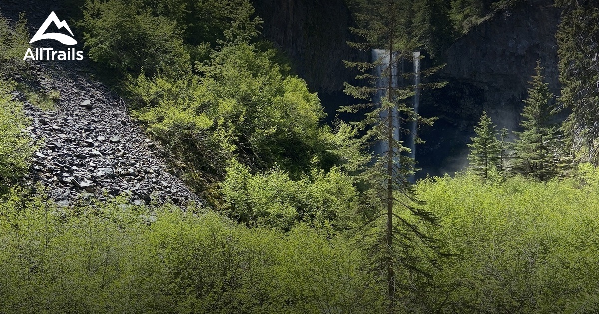 Tamanawas Falls - hikes and trails to get you there | AllTrails