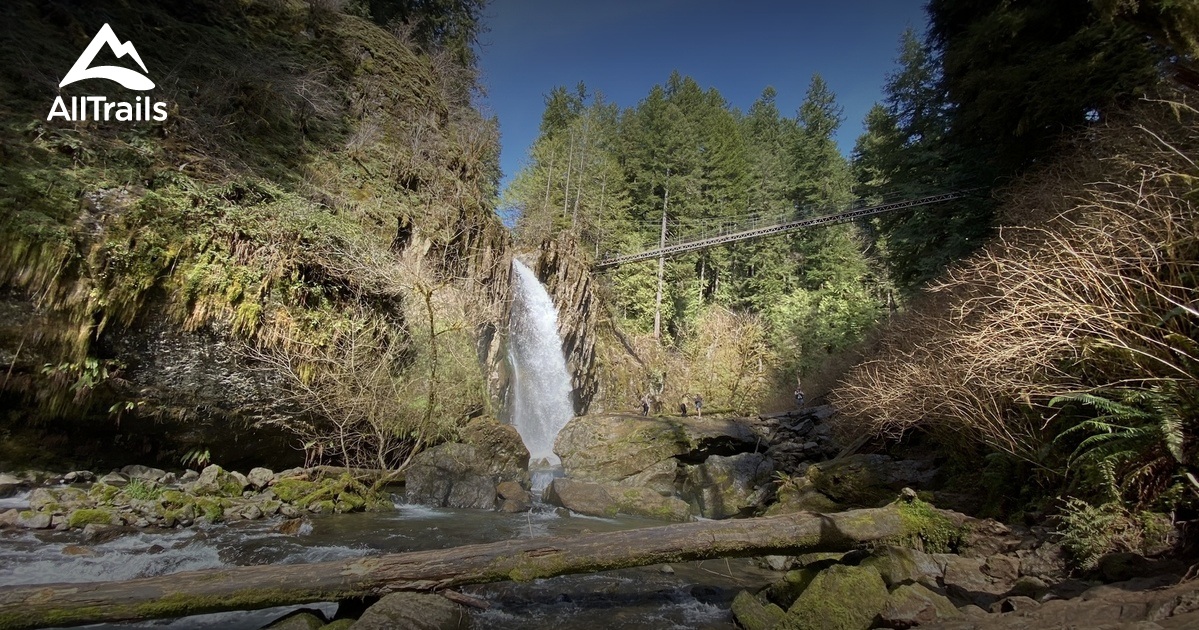 Drift Creek Falls - hikes and trails to get you there | AllTrails
