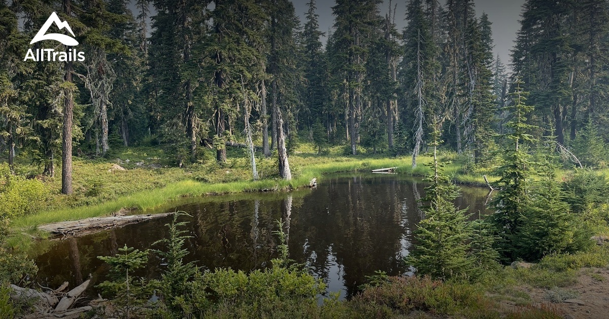 Best trails near Pigtail Peak | AllTrails