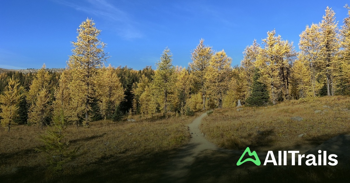 Scarab Lake - hikes and trails to get you there | AllTrails