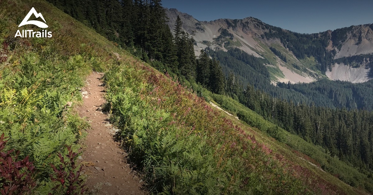 Alaska Mountain - hikes and trails to get you there | AllTrails