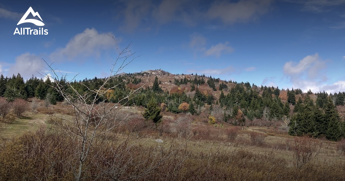 Pine Mountain - hikes and trails to get you there | AllTrails