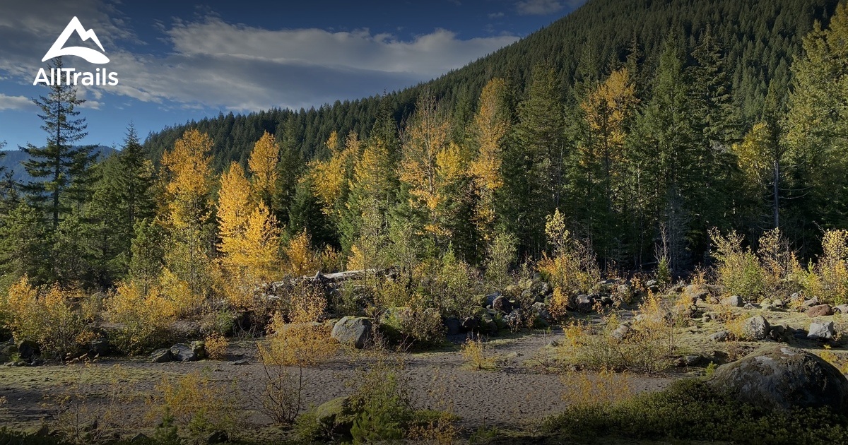 Ramona Falls - hikes and trails to get you there | AllTrails