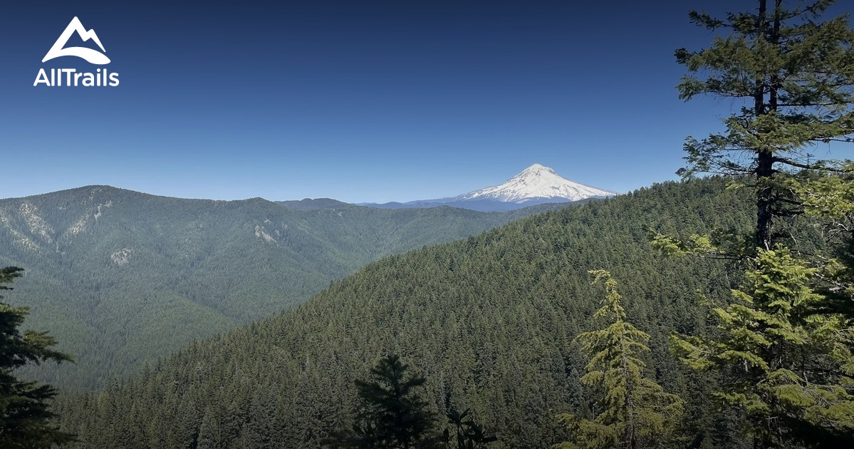 Githens Mountain - hikes and trails to get you there | AllTrails