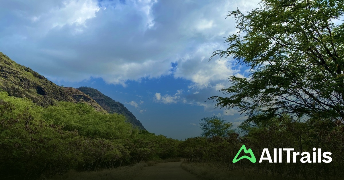 Polihale Beach - hikes and trails to get you there | AllTrails