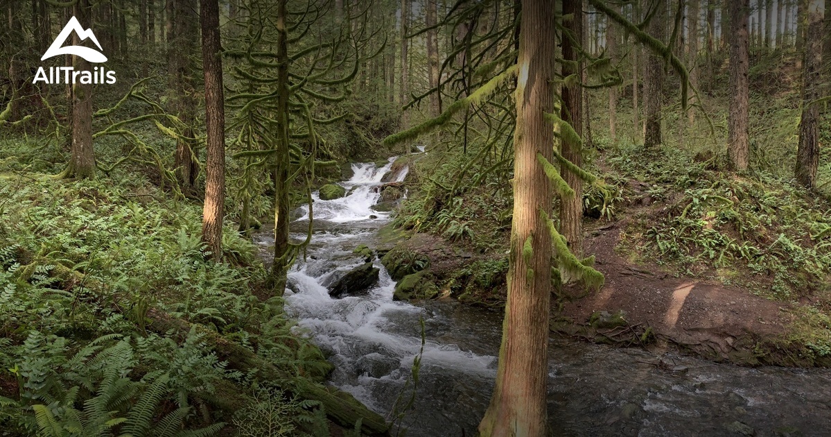 Duncan Creek Falls - hikes and trails to get you there | AllTrails