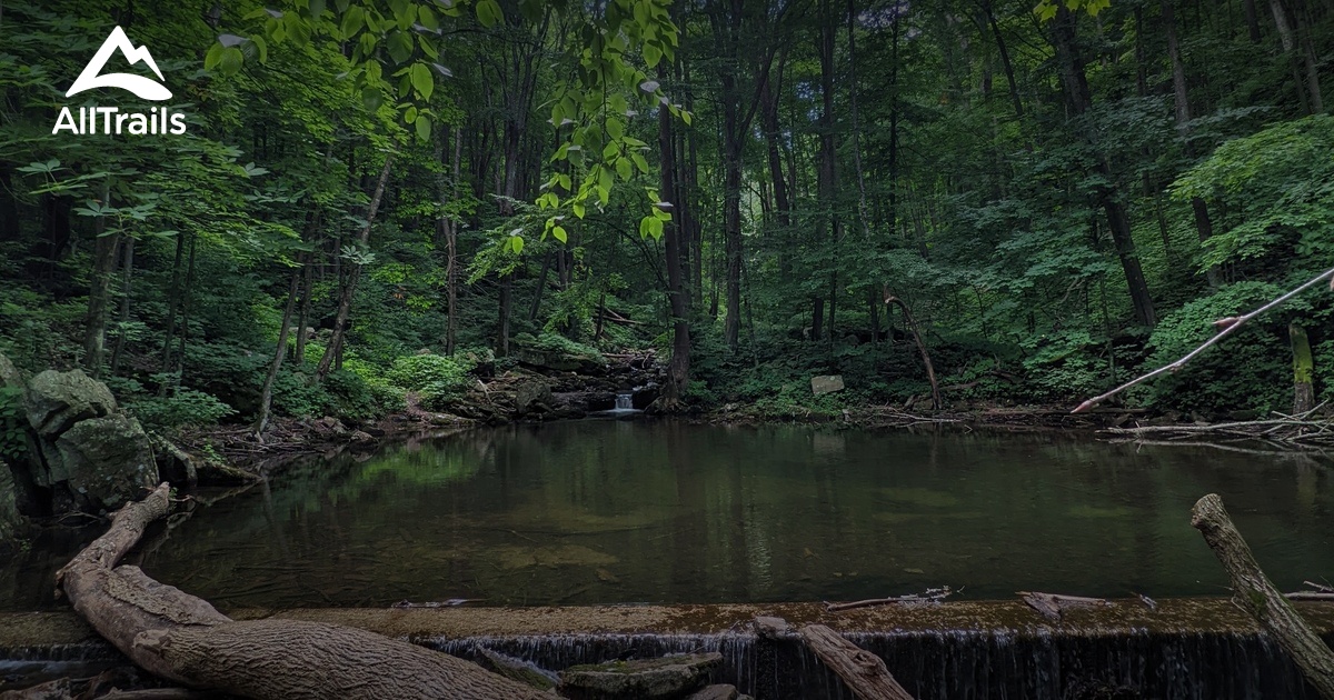 Sentinel Point - hikes and trails to get you there | AllTrails