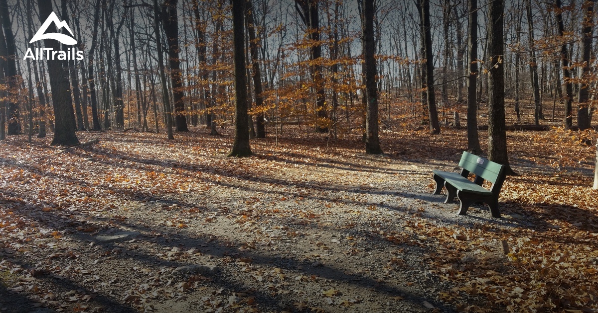 Fox Hill - hikes and trails to get you there | AllTrails