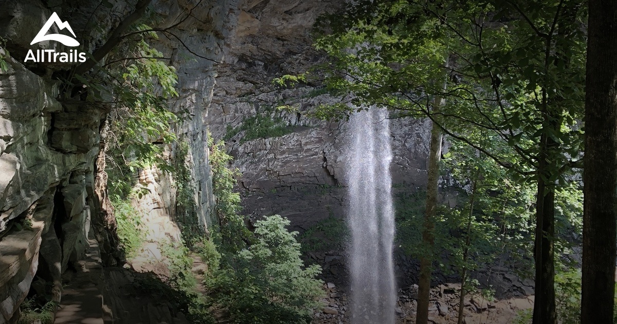 Ozone Falls - hikes and trails to get you there | AllTrails